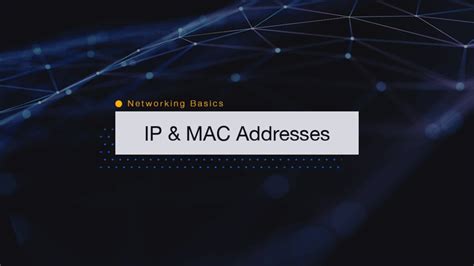 Networking Basics How Ip And Mac Addresses Work