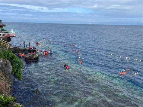 보홀 자유여행 정어리떼 나팔링투어 현지 예약 후기feat크리스 네이버 블로그