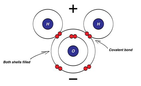 The Electron Dot Diagram Of The Hydronium Ion Uncovering The Chemical
