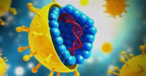 Reduced Biodiversity May Facilitate Virus Propagation Qs Study