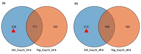 Comparison Of Differentially Alternatively Spliced Genes Dasgs Of