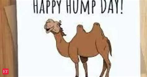 Hump Day Why Is Wednesday Called Hump Day All You Need To Know The Economic Times