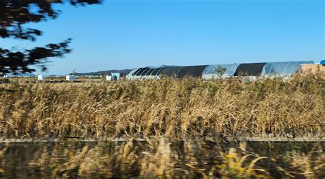 흔들릴 때 다짐해야 하는 5가지 강력한 다짐