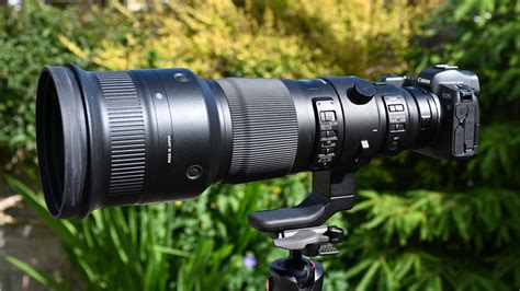 The Best Nikon Telephoto Lenses In 2025 Digital Camera World