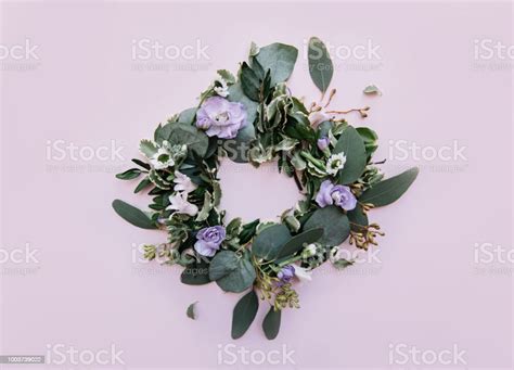 아름 다운 신선한 녹색 둥지 또는 화 환 유 칼 리 나뭇잎 녹색 지점 밖으로 만든 고 파스텔 분홍색 배경 평면도 평면에 약간 귀여운 꽃 꽃 배경 주제에 대한 스톡 사진 및