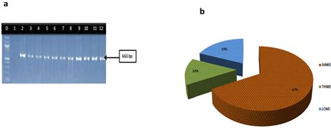 Figure 1 From Incidence And Virulence Factor Profiling Of Vibrio
