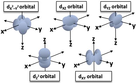 3d Orbitals Electrons In Zincs Filled 3d Orbitals Can Participate In