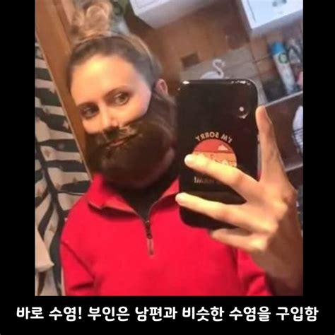 고양이가 남편만 좋아했던 이유 인스티즈 Instiz 이슈 카테고리