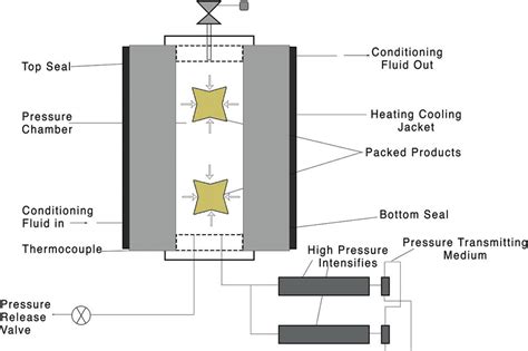 Schematic Of A Batch High Pressure Processing Setup Adapted From Download Scientific Diagram