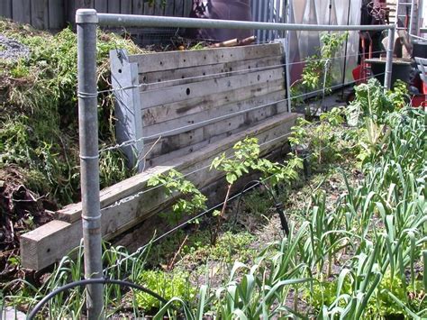 How To Build A Raspberry Trellis