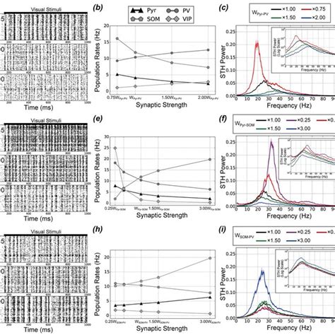 Neuronal Responses In The Proposed Microcircuit Model A Raster Plots Download Scientific