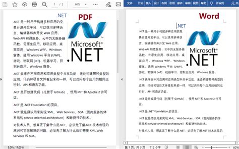 C Net Pdf Worddocdocx Segmentfault