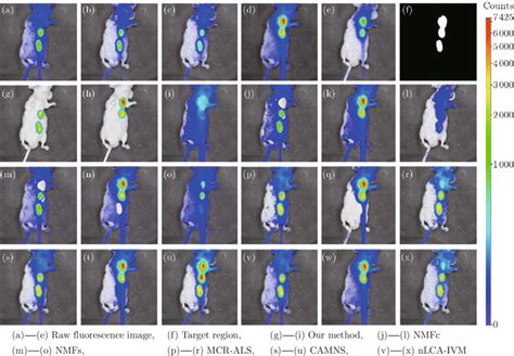 Comparison Between Our Method And The Other Methods Download