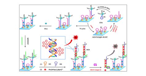 Versatile And Ultrasensitive Electrochemiluminescence Biosensor For Biomarker Detection Based On
