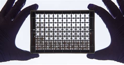 Genetic Testing Startup Color Genomics Is Switching Ceos Vox