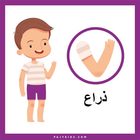بطاقات تعليمية للأطفال اجزاء الجسم للاطفال بالعربية Body Parts For