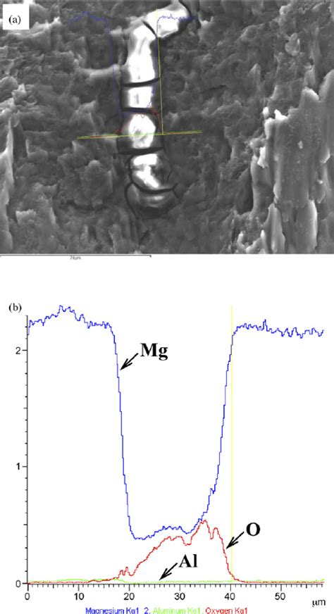 Typical Sem Micrographs Of Fracture Surfaces Of Az31b H24 Alloy After