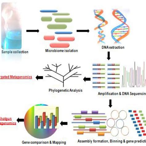 Integrated Network Of Multi Omics Techniques Download Scientific Diagram