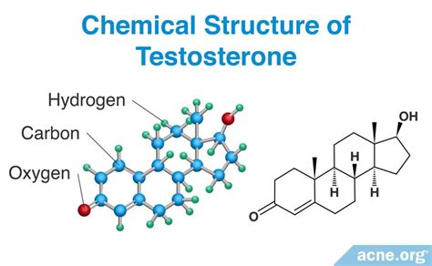 Testosterone Zits At Carolyn Ring Blog