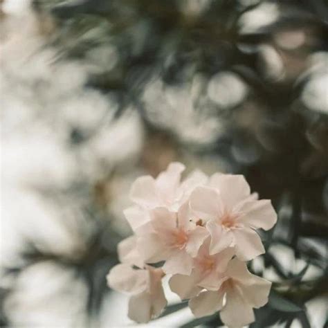 Python函数作用域之局部变量与全局变量全解析 知乎