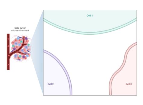 Tumor Microenvironment With Callout And Cell Shapes Layout
