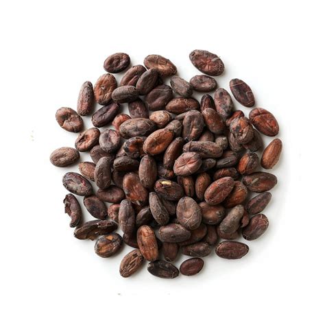 Cocoa Beans Buy Bulk Cocoa Beans Tinkerandbell