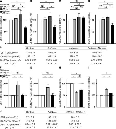 Genetic Epistasis Analysis Ae Bone Histomorphometric Analysis Of Download Scientific