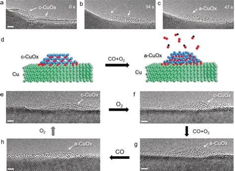 Atomic‐scale Dynamics Of Cu Oxide Under Co Oxidation Reactions Download Scientific Diagram