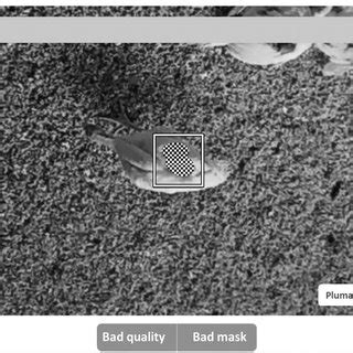 Screenshot Of The Developed MEMO Software Interface Showing An Image Download Scientific