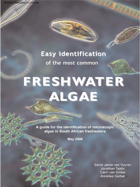 Easy Identification Of The Most Common Freshwater Algae Pdf