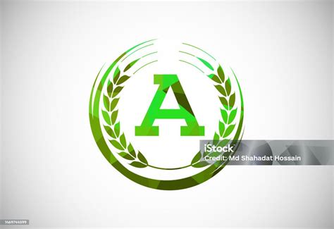 알파벳 밀 화환이 있는 표지판 다각형 낮은 폴리 유기농 밀 농업 로고 개념 농업 로고 디자인 벡터 템플릿입니다 개념에 대한 스톡 벡터 아트 및 기타 이미지 Istock