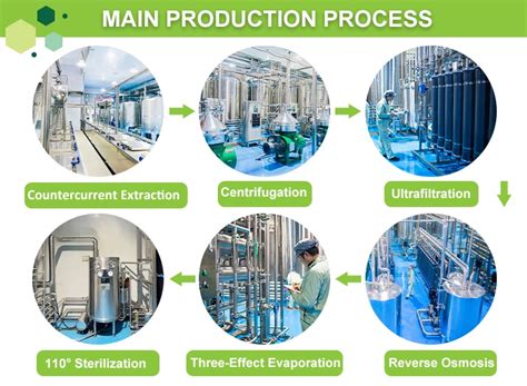 Oem Polysaccharide Lingzhi Mushroom Extract Ganoderma Powder Reishi Mushroom Extracts Private