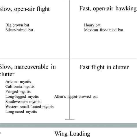 The Relationship Of Wing Loading To Aspect Ratio Correlates To The