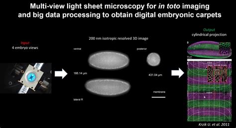 Photomanipulation Module Bruker