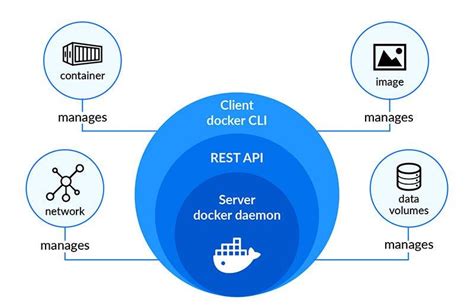 shivam maurya on linkedin mastering docker diving deeper into docker