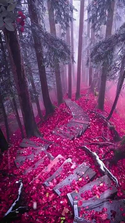 Sandhya Reddy Posted On Linkedin