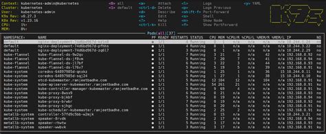 Deploying Kubernetes K9s For Managing And Monitoring Kubernetes Clusters Ranjeet Badhe