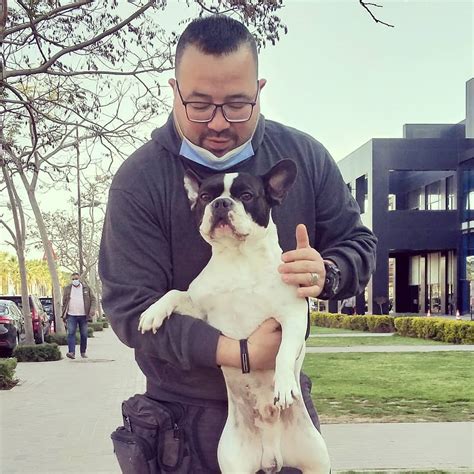 Tud Egypt 🌟 زوروو المشهور 🐼 🌟 Zorro The Famous 🐼