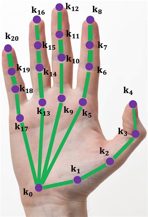 Nonparametric Structure Regularization Machine For 2d Hand Pose Estimation Deepai