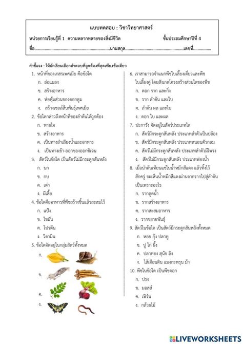 แบบทดสอบ ความหลากหลายของสิ่งมีชีวิต Worksheet วิทยาศาสตร์ ป 4 แบบทดสอบ วิทยาศาสตร์