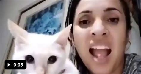 Kitten Gets Scared By Filter 9gag