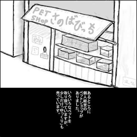おねえさんとゆっくり⑨ ばしへろんだす