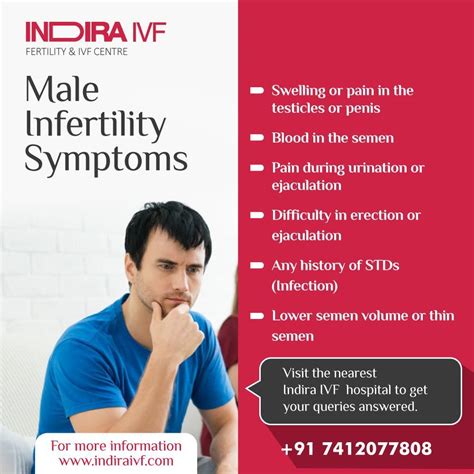 Male Infertility Symptoms And Causes Artofit