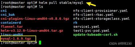 Helm（一键式部署chart资源）helm如何做到一键部署 Csdn博客