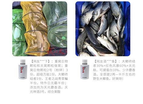 武汉天元人工合成麝香酒100ml诱鱼添加剂黑坑野钓鲫鲤钓鱼诱食剂