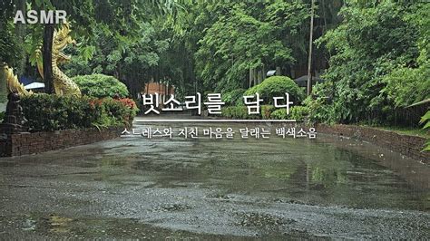 한적한 공원의 빗소리 Asmr 긴장 완화와 마음의 안정을 위한 백색소음 스트레스 해소 이명 완화 집중력 향상 음악 자연의 소리 비멍 Youtube