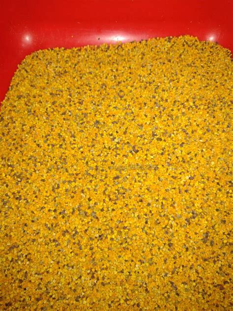 Пчелен прашец Пчеларство Тръстеник Продавам пчелен прашец събиран както от района на