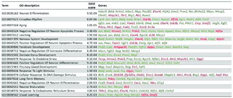 Biological Processes Controlled By The Arc Dependent Transcriptional Download Scientific