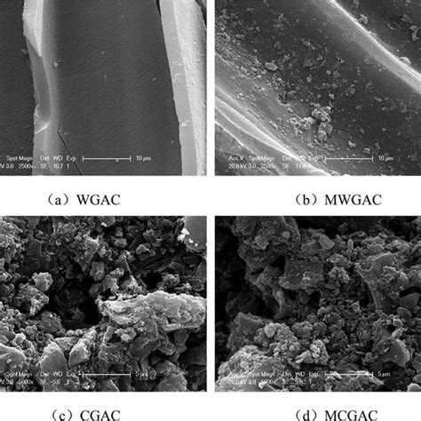 The Specific Surface Area And Pore Structure Of Activated Carbon Download Scientific Diagram