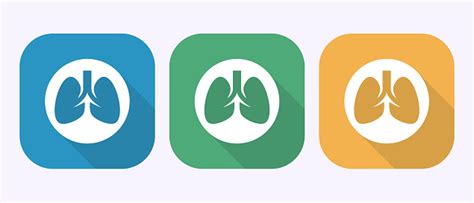 폐 건강 관리 아이콘 디자인 그림입니다 의료 및 의료 아이콘 로그인 그림자 버튼 디자인 건강관리와 의술에 대한 스톡 벡터 아트 및 기타 이미지 건강관리와 의술 과학